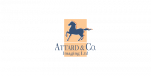 The Group - Attard & Co Ltd.